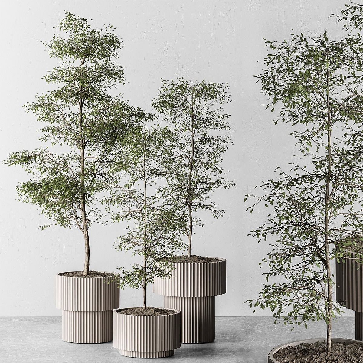 Indoor Green Sapling 3D Model – 3ds Max Decoration Asset - 3D Models Pro
